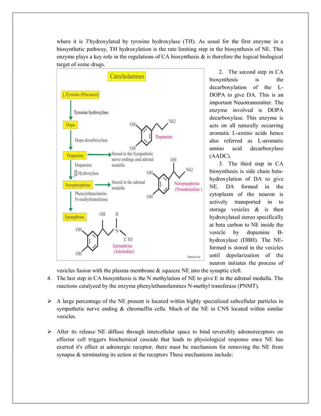 lecture-2 (1) (1).pdf medicinal chemistry-1 | PDF