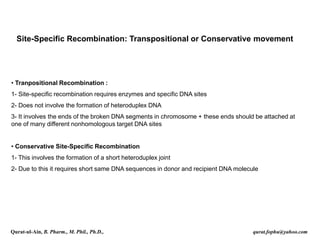 Lecture. 5 DNA Recombination | PPTX