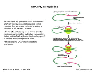 Lecture. 5 DNA Recombination | PPTX