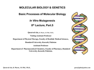 Lecture.8 Basic Molecular Biology Techniques | PPTX
