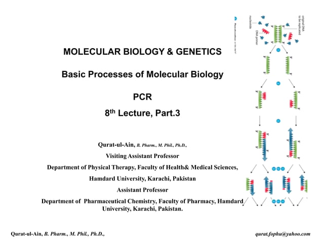 Lecture.8 Basic Molecular Biology Techniques | PPTX | Physical Therapy ...