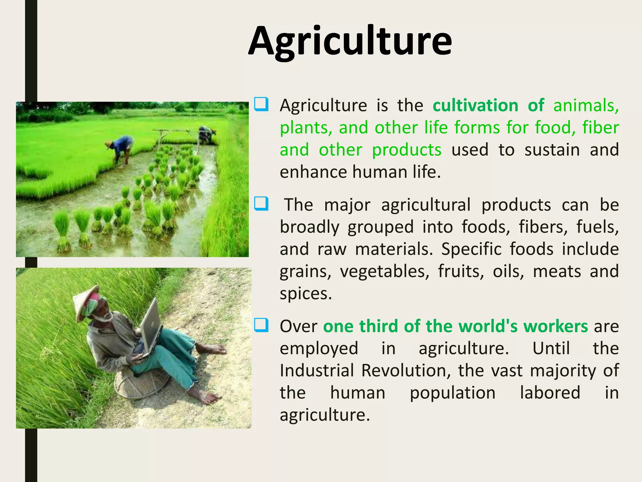 Agriculture and rural development in bangladesh | PPTX