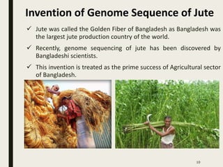 Agriculture and rural development in bangladesh | PPTX
