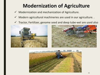 Agriculture and rural development in bangladesh | PPTX