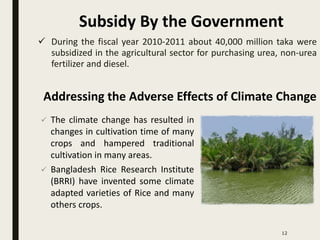 Agriculture and rural development in bangladesh | PPTX