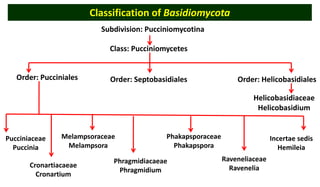 Lecture- 22 - Classification of Basidiomycota.pptx