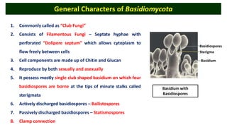 Lecture- 22 - Classification of Basidiomycota.pptx