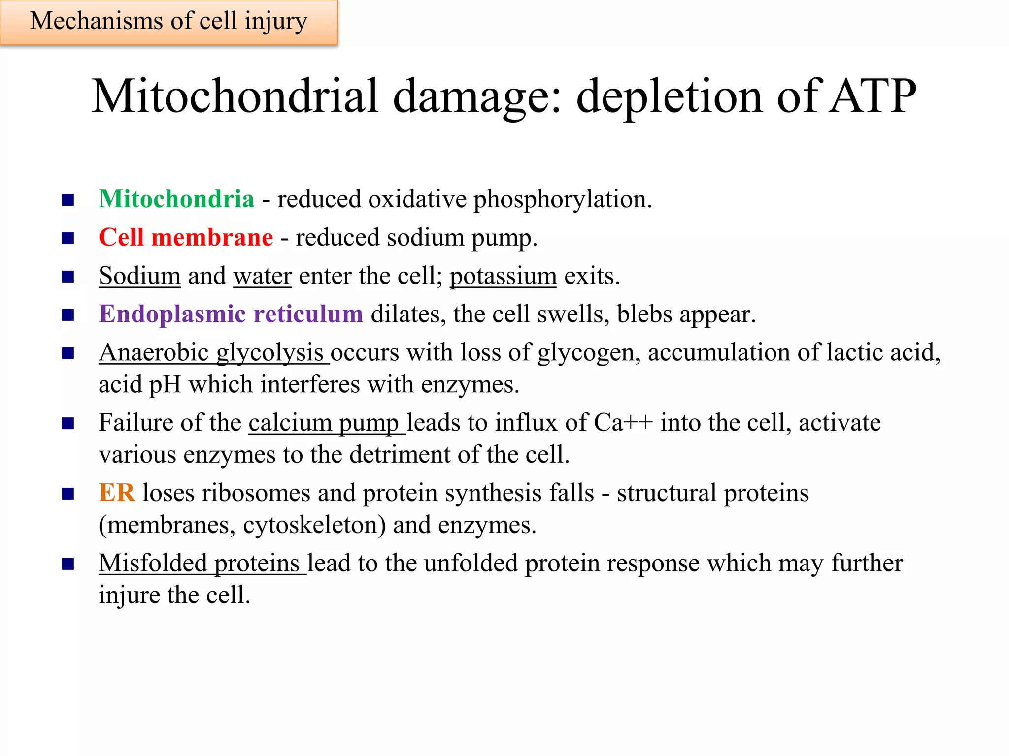 Lecture.1..Mechanisms.of.cell.injury.pdf