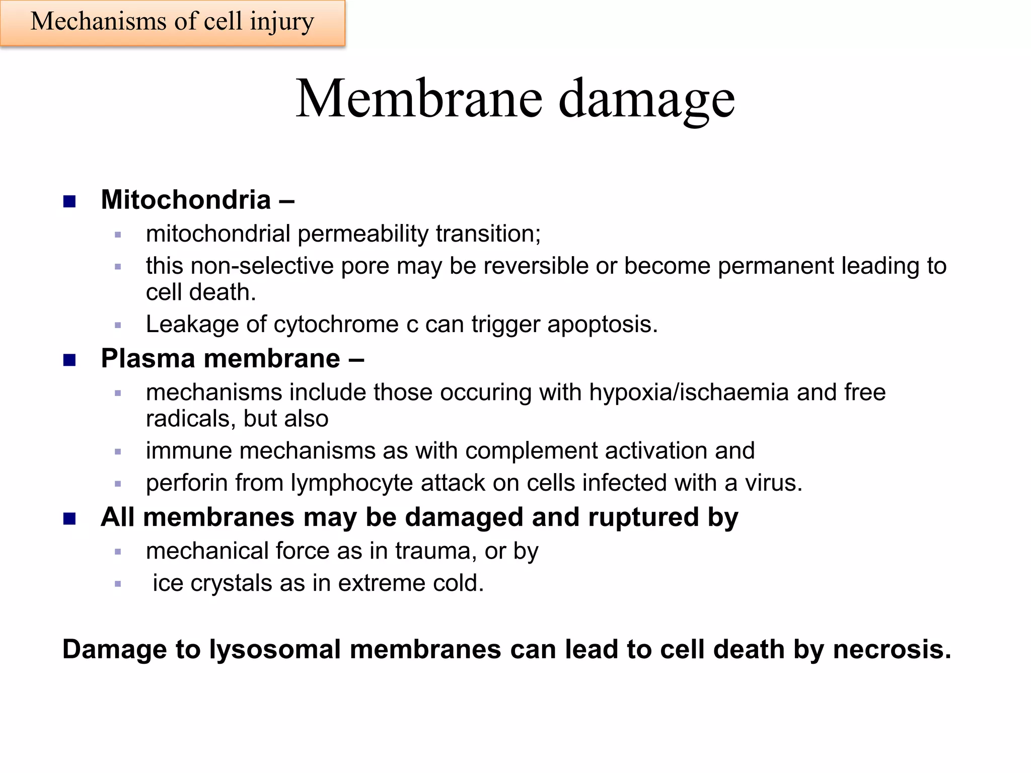 Lecture.1..Mechanisms.of.cell.injury.pdf