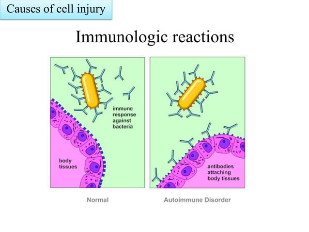 Lecture.1..Mechanisms.of.cell.injury.pdf