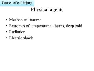Lecture.1..Mechanisms.of.cell.injury.pdf