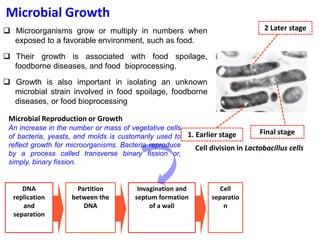 Lecture.pptx microbial growth and development in food and processing | PPT