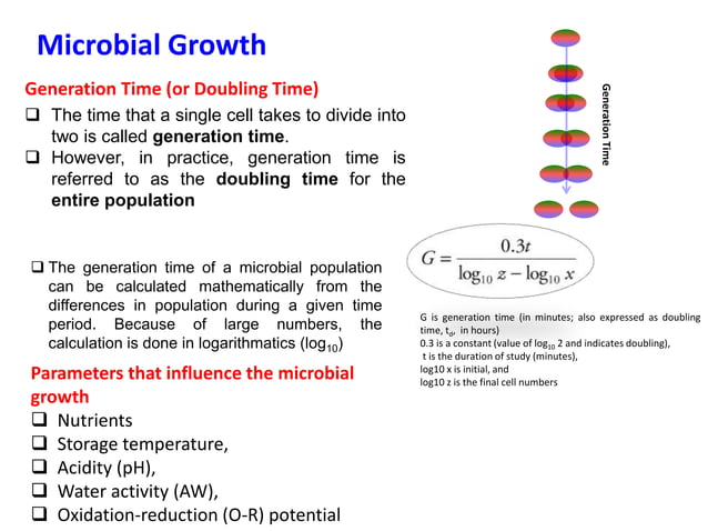 Lecture.pptx microbial growth and development in food and processing | PPT