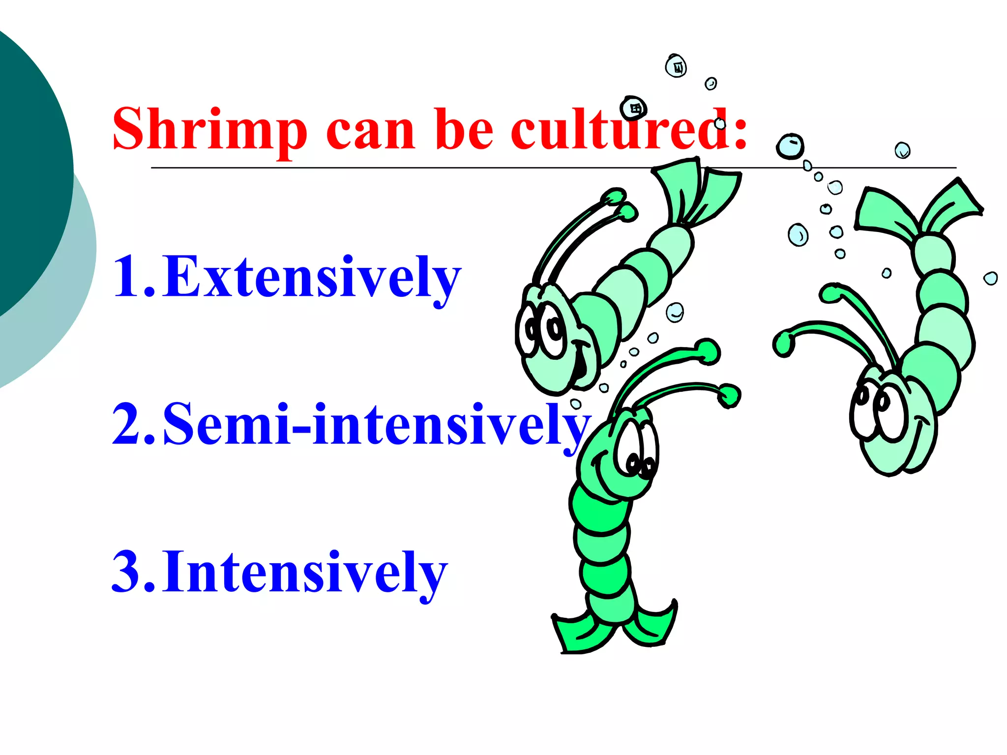 (Marine Shrimp Culture).ppt