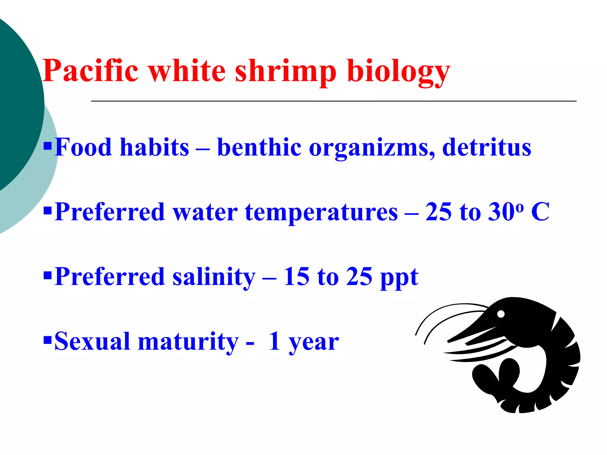 (Marine Shrimp Culture).ppt