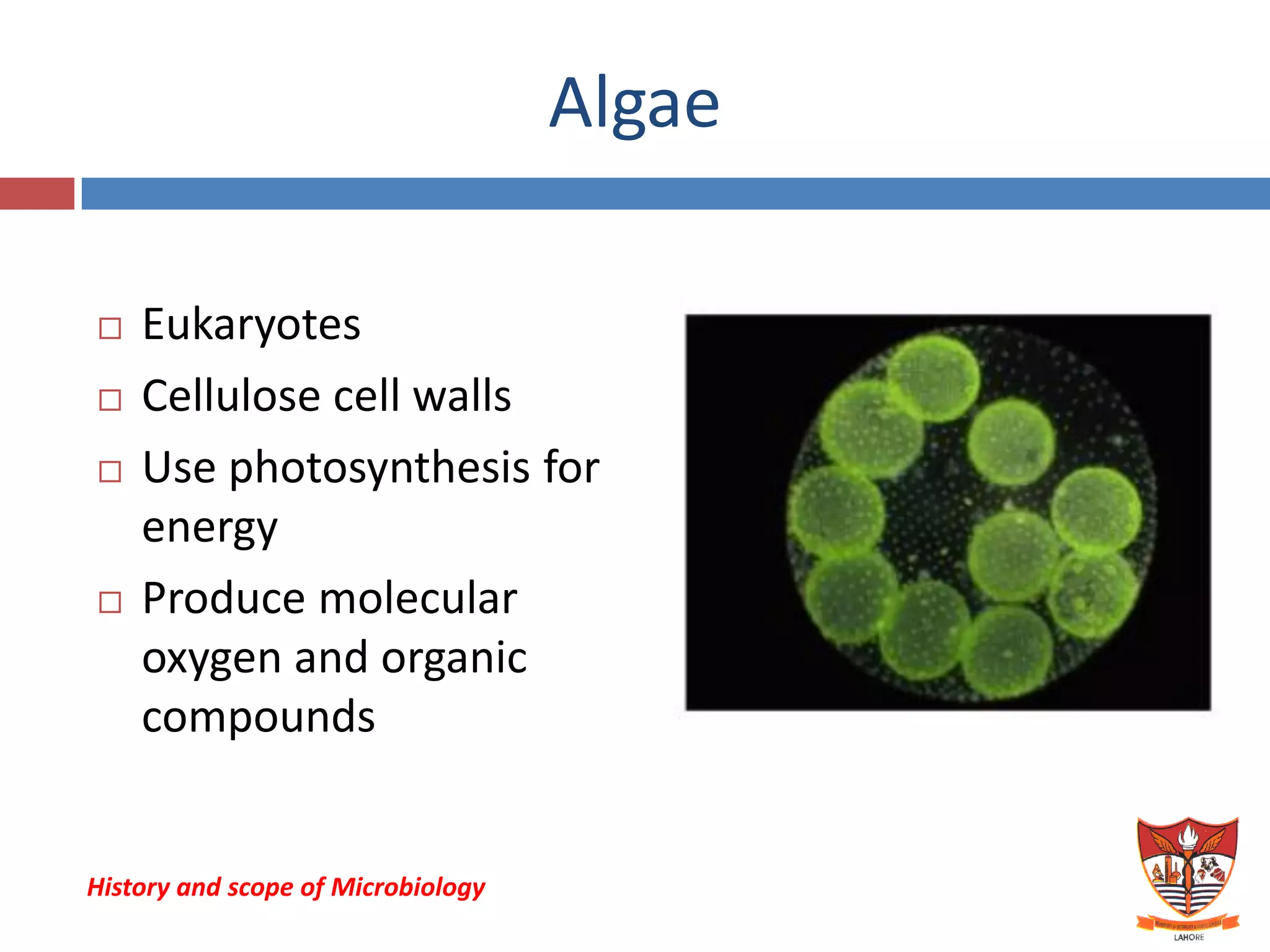 branches, history and scope of microbiology | PDF