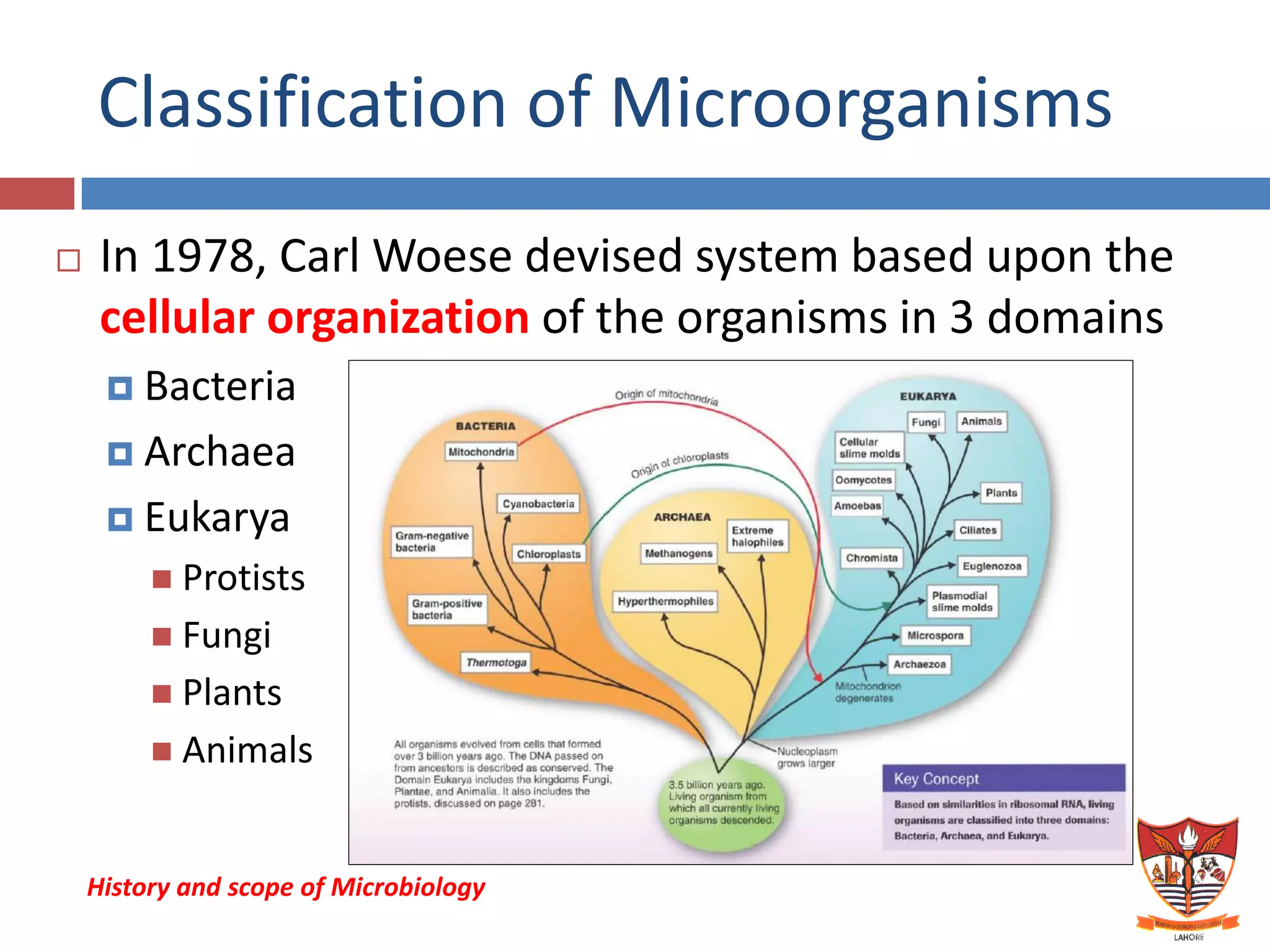 branches, history and scope of microbiology | PDF