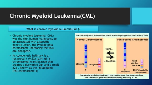 Chronic Myeloid Leukemia(CML) | PPTX | Blood Disorders | Diseases and ...