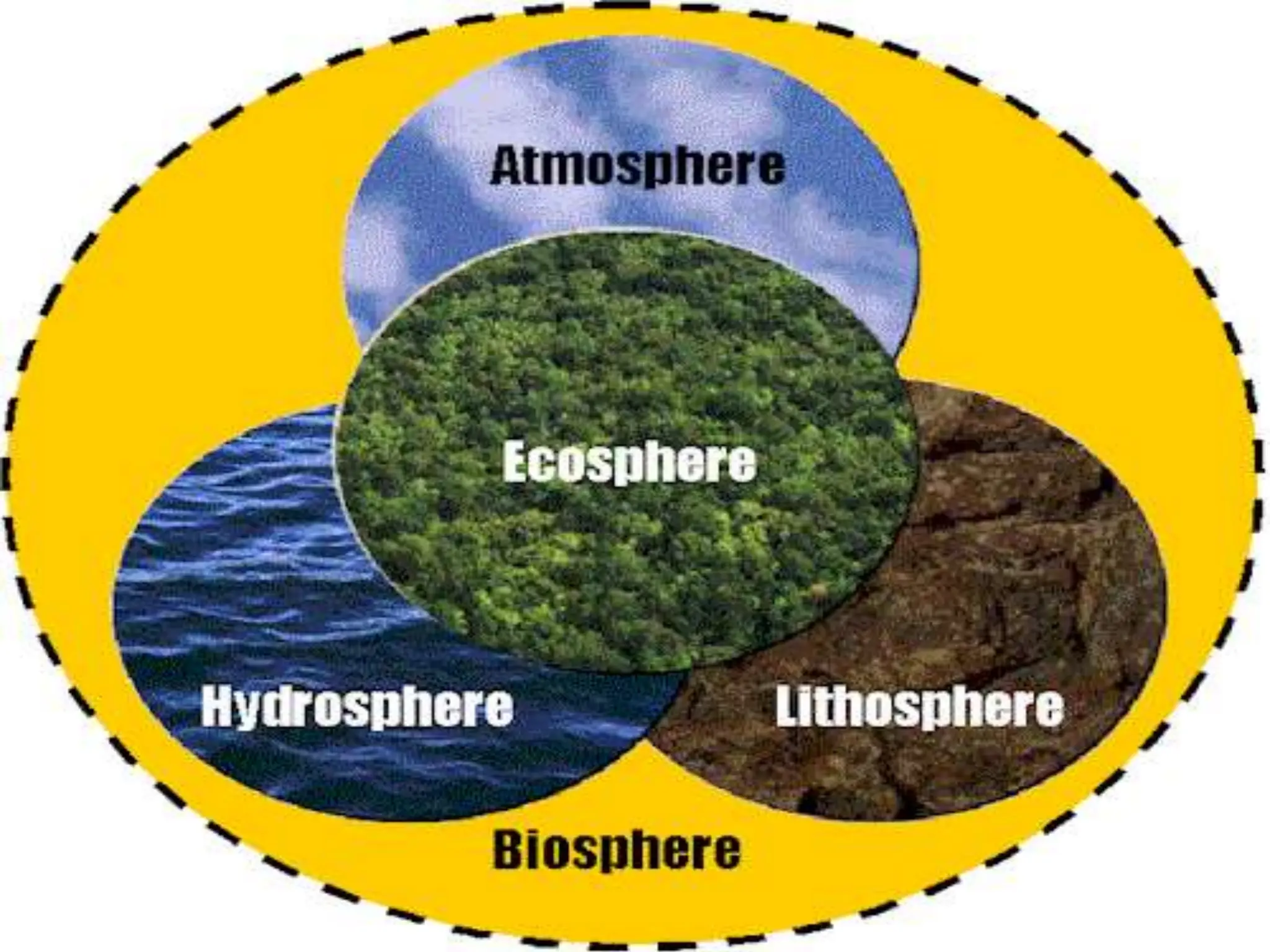Lecture-2_Ecology-and-Biogeochemical-Cycles.ppt