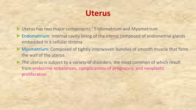 Lecture 2 Pathology: Uterus pdf | PPT
