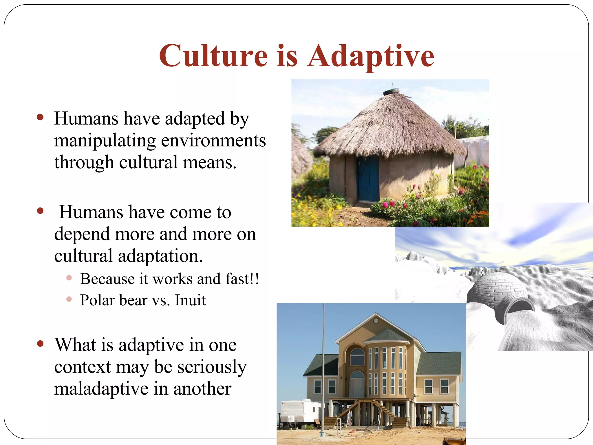 Lecture 2 What Is Culture | PPS
