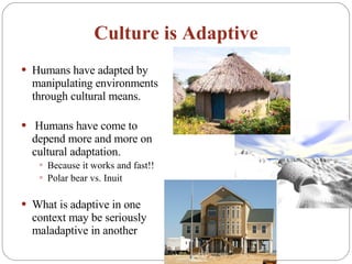 Lecture 2 What Is Culture | PPS