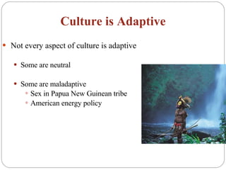 Lecture 2 What Is Culture | PPS