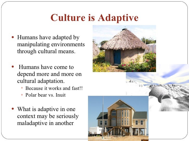 Lecture 2 What Is Culture
