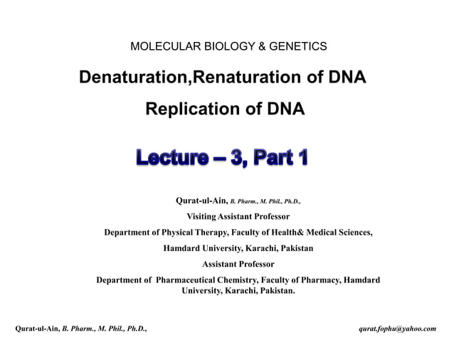 Lecture 3.part.1Denaturation,Renaturation of DNA Replication of DNA ...