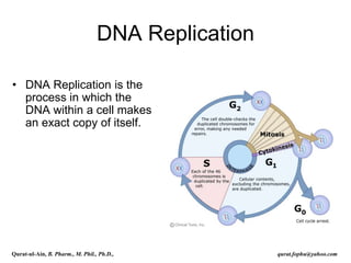 Lecture 3.part.1Denaturation,Renaturation of DNA Replication of DNA | PPT