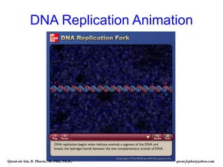 Lecture 3.part.1Denaturation,Renaturation of DNA Replication of DNA | PPT
