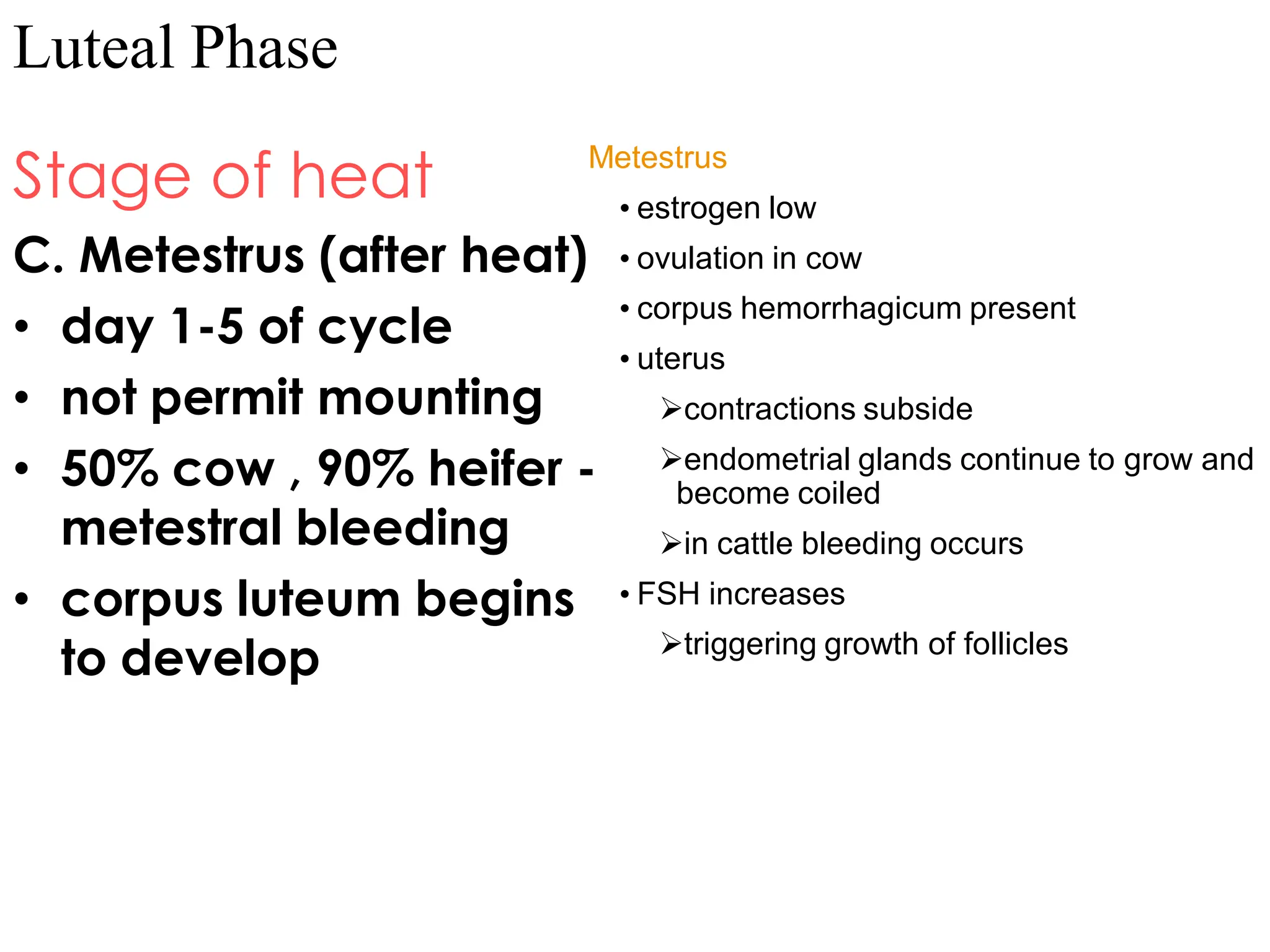 Lecture-3-Estrous-cycle.pdf in cow buffalo goat sheep animals | PDF
