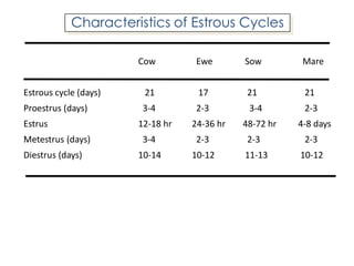 Lecture-3-Estrous-cycle.pdf in cow buffalo goat sheep animals | PDF