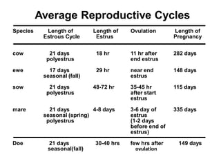 Lecture-3-Estrous-cycle.pdf in cow buffalo goat sheep animals | PDF
