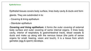 Comprehensive Overview of Human Body Tissues and Membranes | PPTX