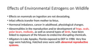 Lecture-38-Env. Chem lecture. - Environmental Estrogens.pptx