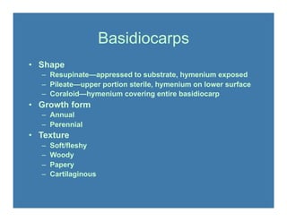Lecture-3_Basidiomycota-life-cycle-2-1bb9ivh.pdf