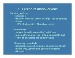 Lecture-3_Basidiomycota-life-cycle-2-1bb9ivh.pdf