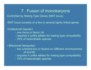 Lecture-3_Basidiomycota-life-cycle-2-1bb9ivh.pdf
