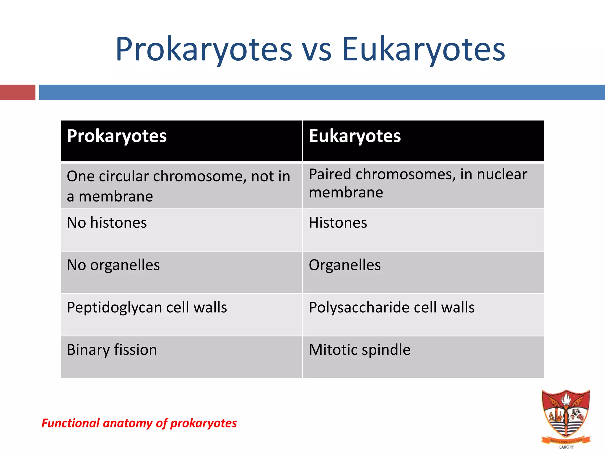 Functional Anatomy Of Prokaryotes And Eukaryotes Pdf