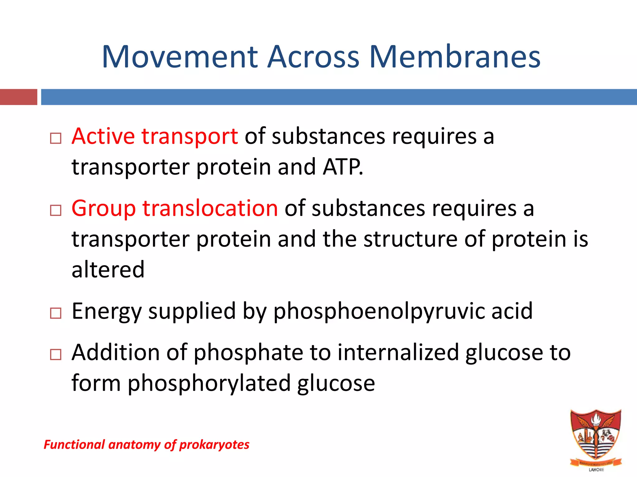 functional anatomy of prokaryotes and eukaryotes | PDF