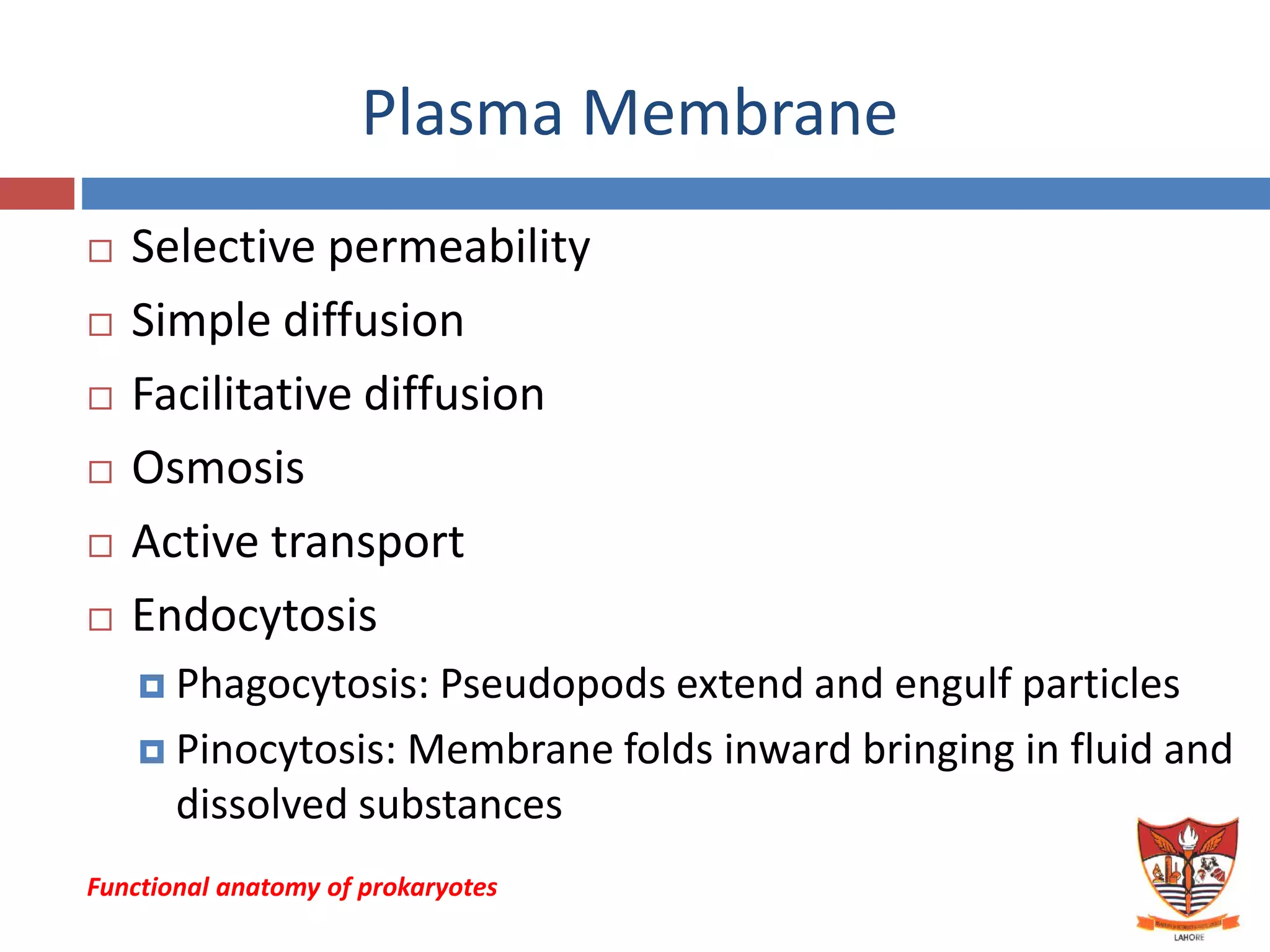 functional anatomy of prokaryotes and eukaryotes | PDF