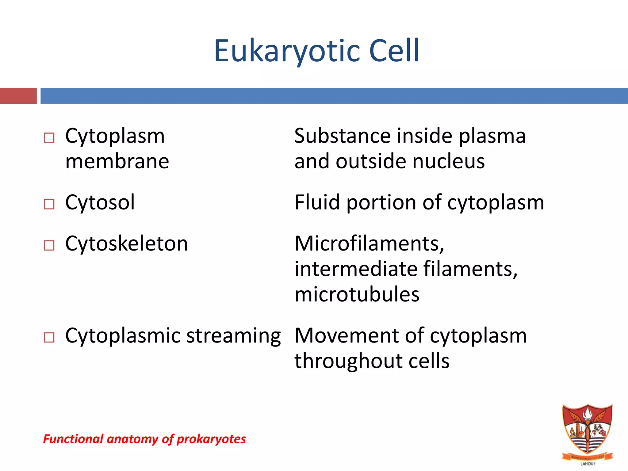 functional anatomy of prokaryotes and eukaryotes | PDF