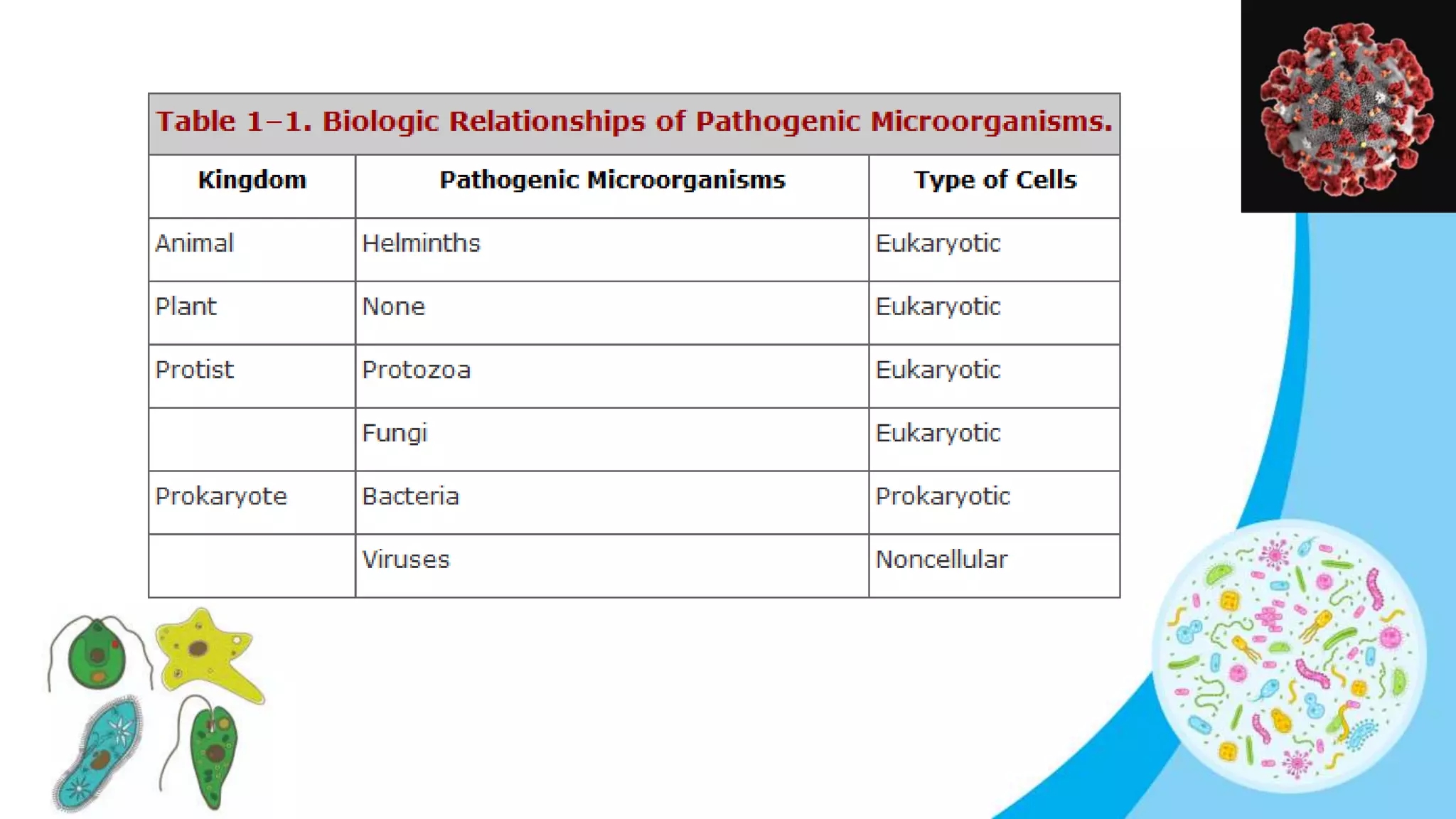 Nomenclature and classification of microorganisms - 2021 | PPTX