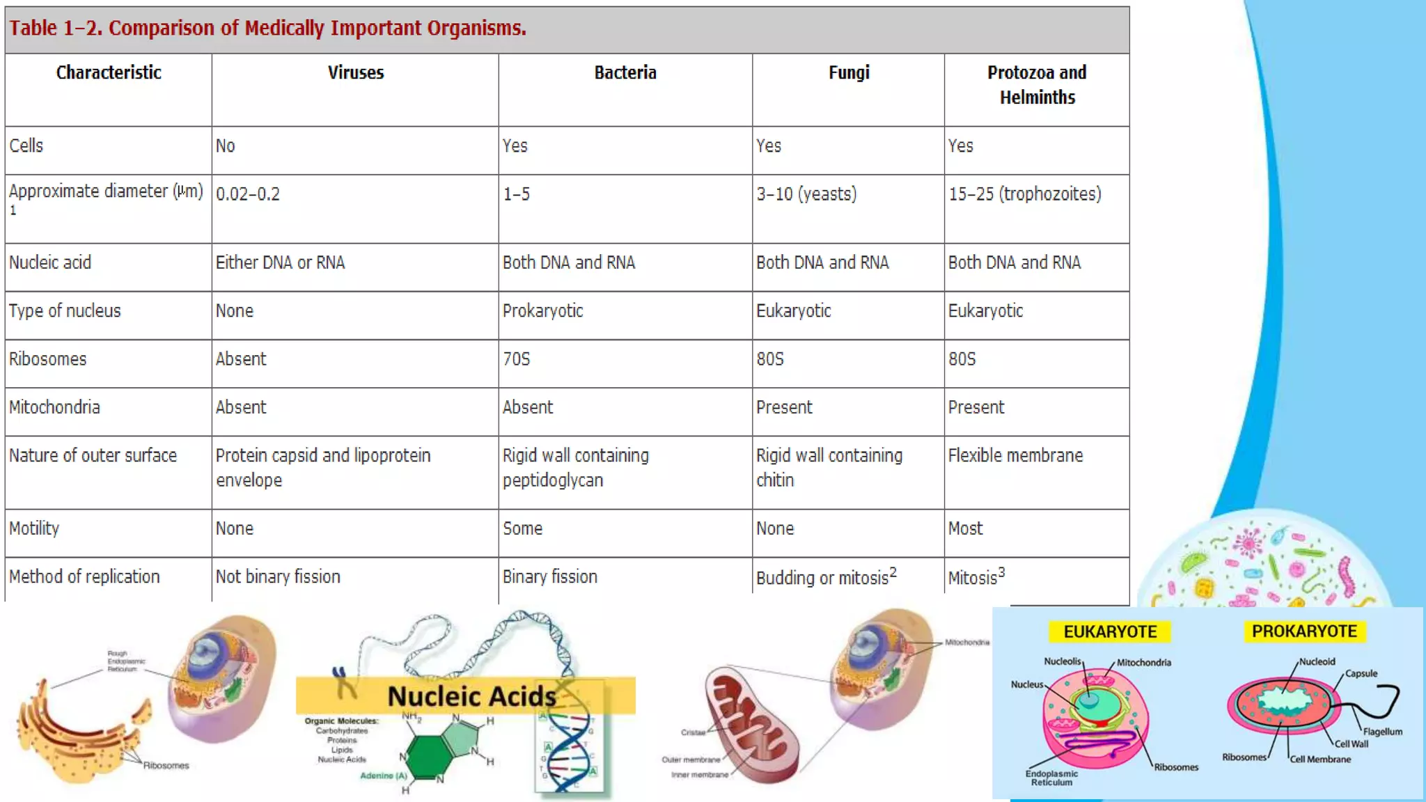 Nomenclature and classification of microorganisms - 2021 | PPTX