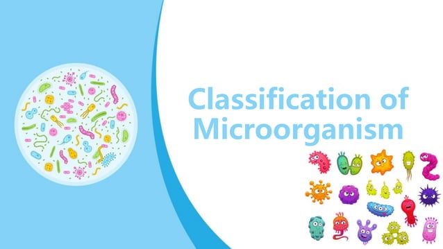 Nomenclature and classification of microorganisms - 2021 | PPTX ...