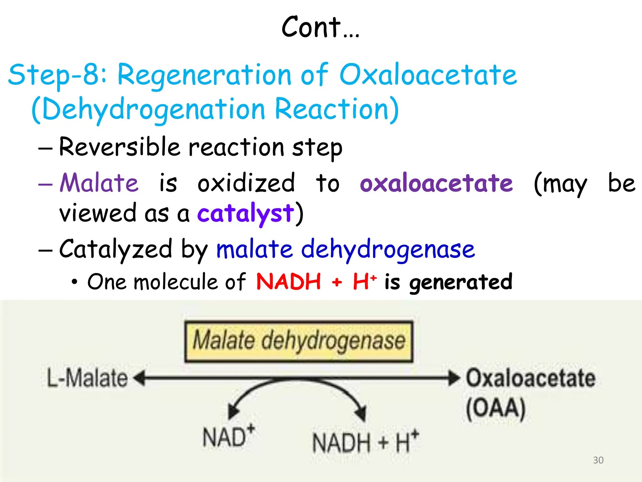 Lecture-3 on CHO Metabolism.pdf | Chemistry | Science