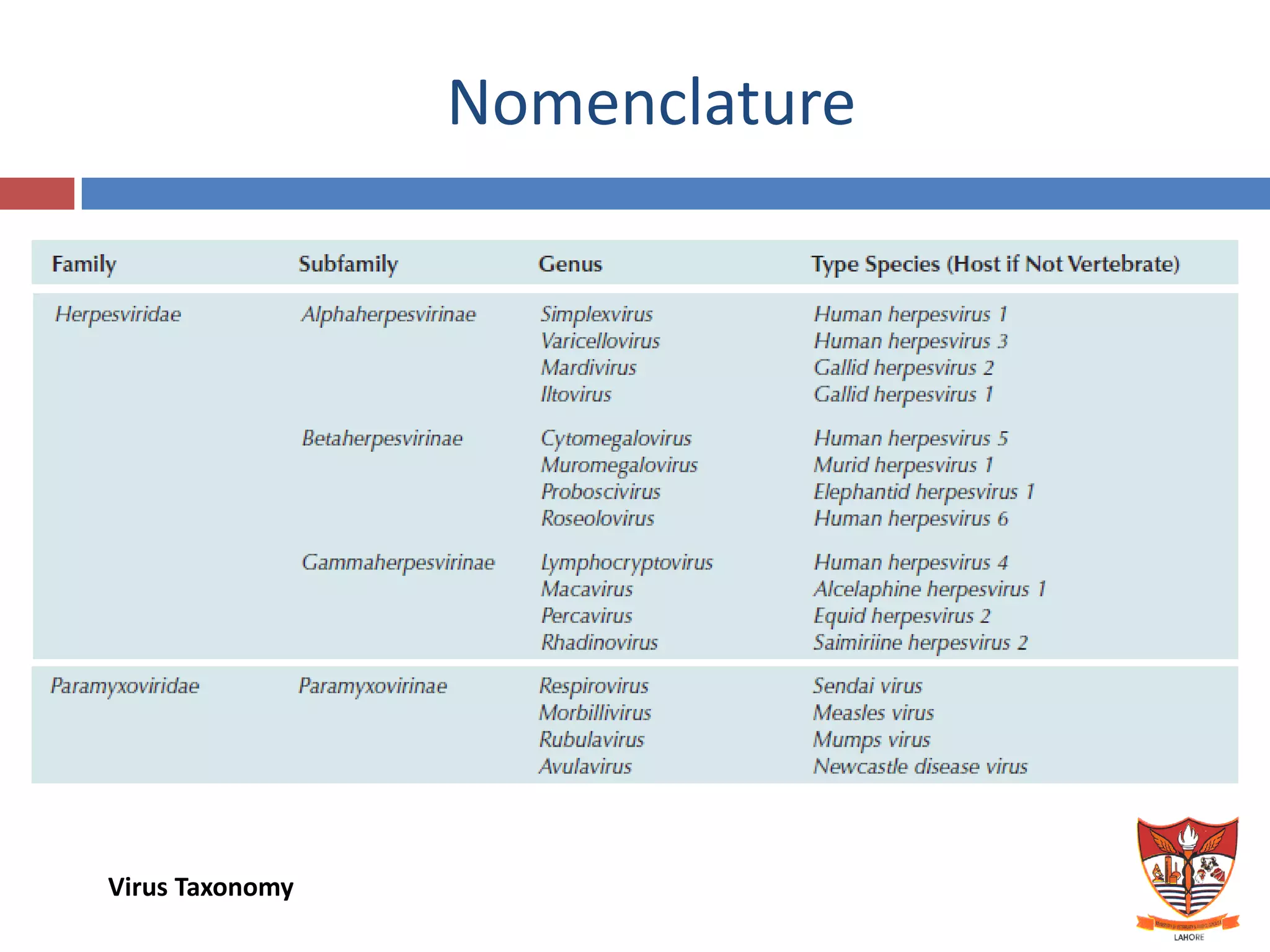 virus taxonomy and classification | PDF