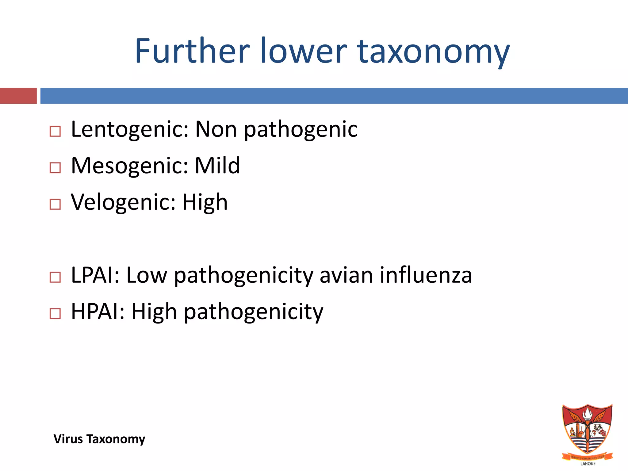 virus taxonomy and classification | PDF