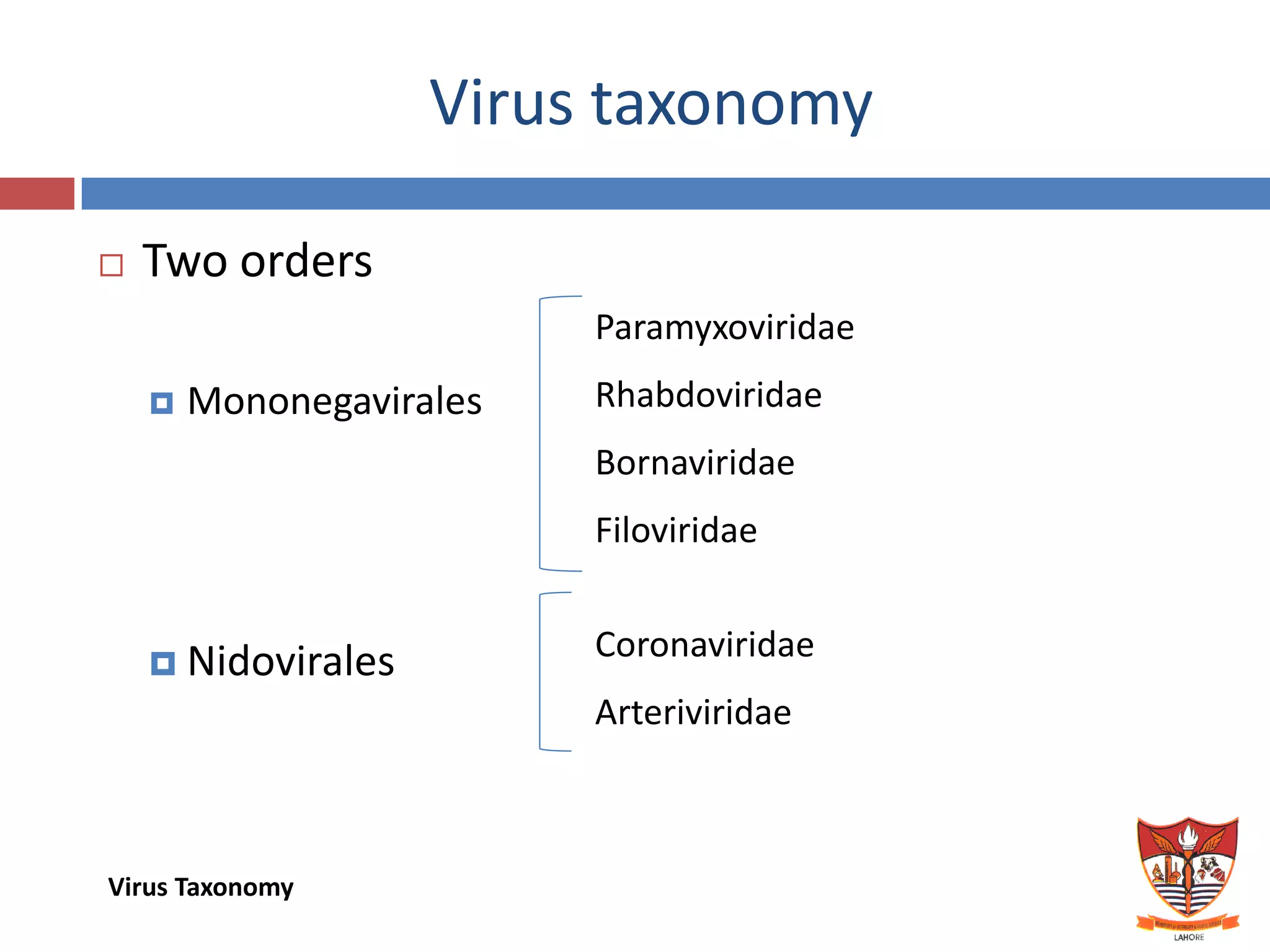 virus taxonomy and classification | PDF